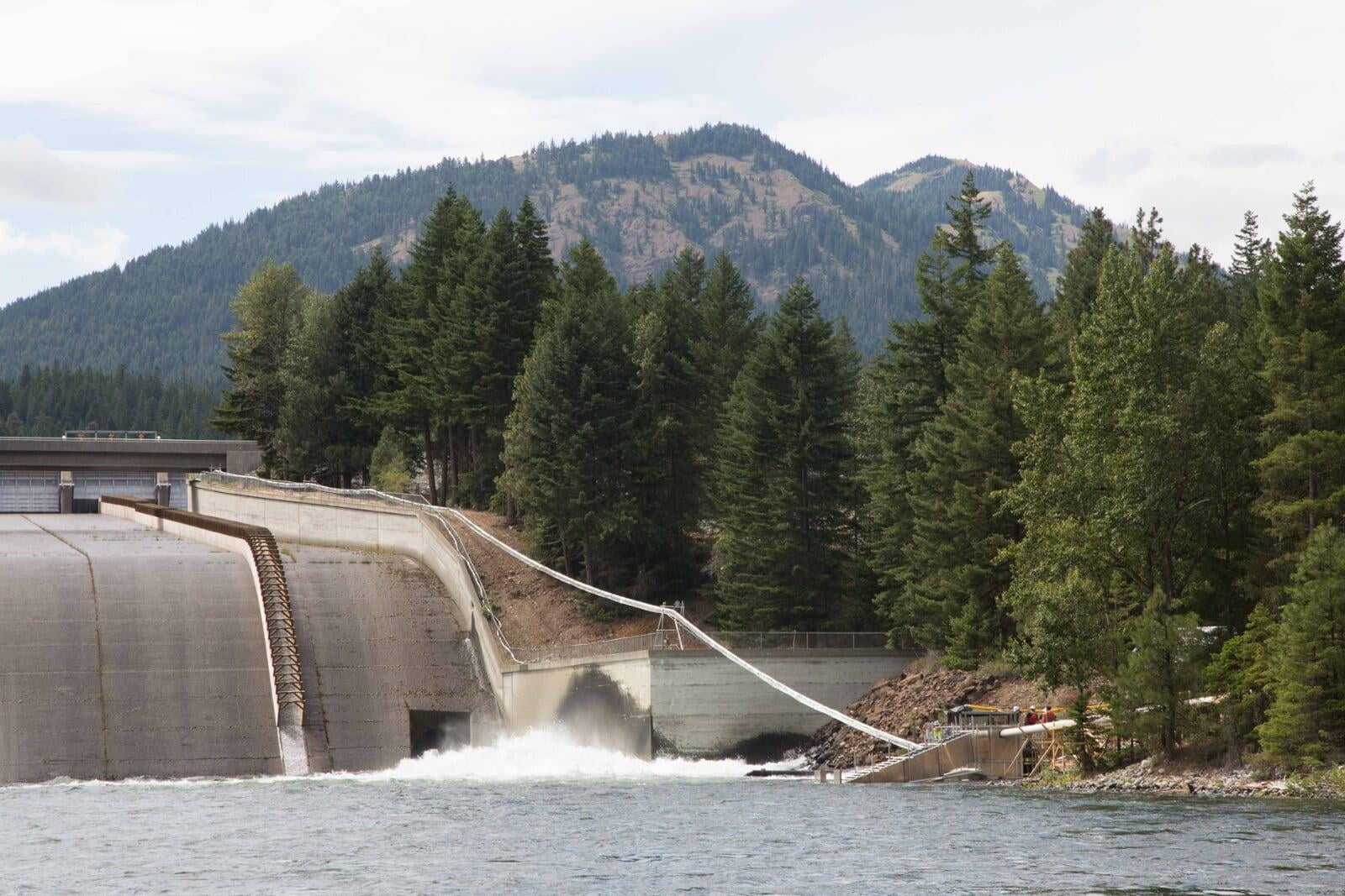 Fish Passages Allow Salmon to Migrate With Less Stress - World of ...