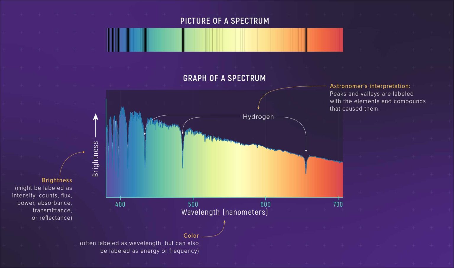 The Role of Color in Stellar Spectroscopy